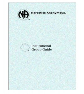 Institutional Group Guide – Marietta Area of NA